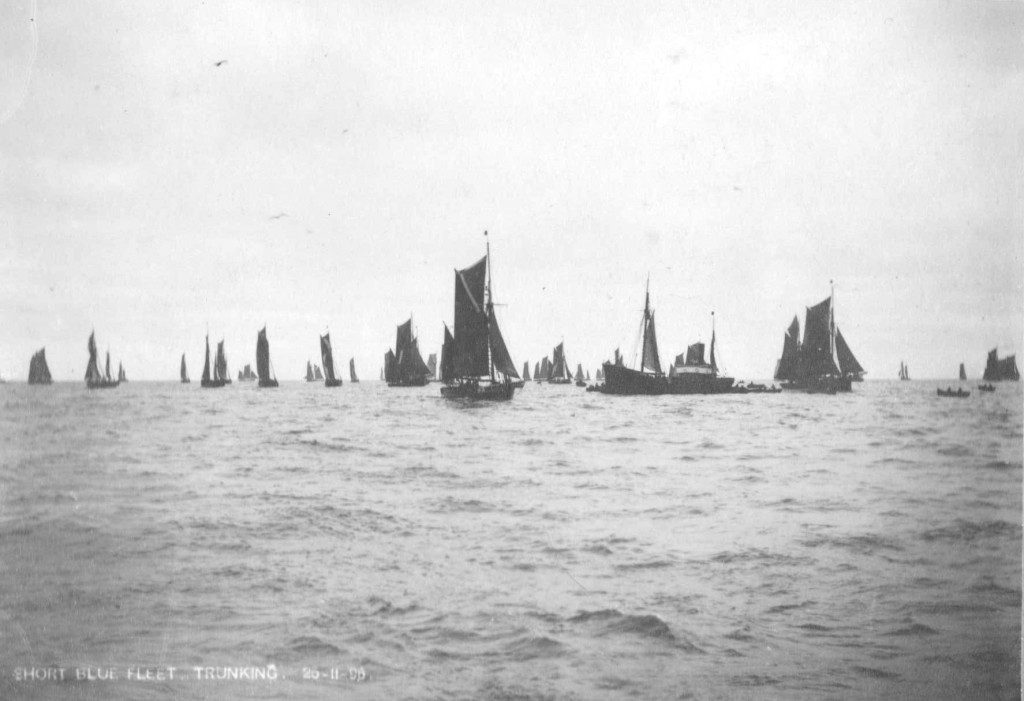 SBF Trunking 1896 – The Short Blue Fleet